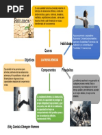 Inserto Levoferin Jarabe | PDF | Medicamentos con receta | El embarazo