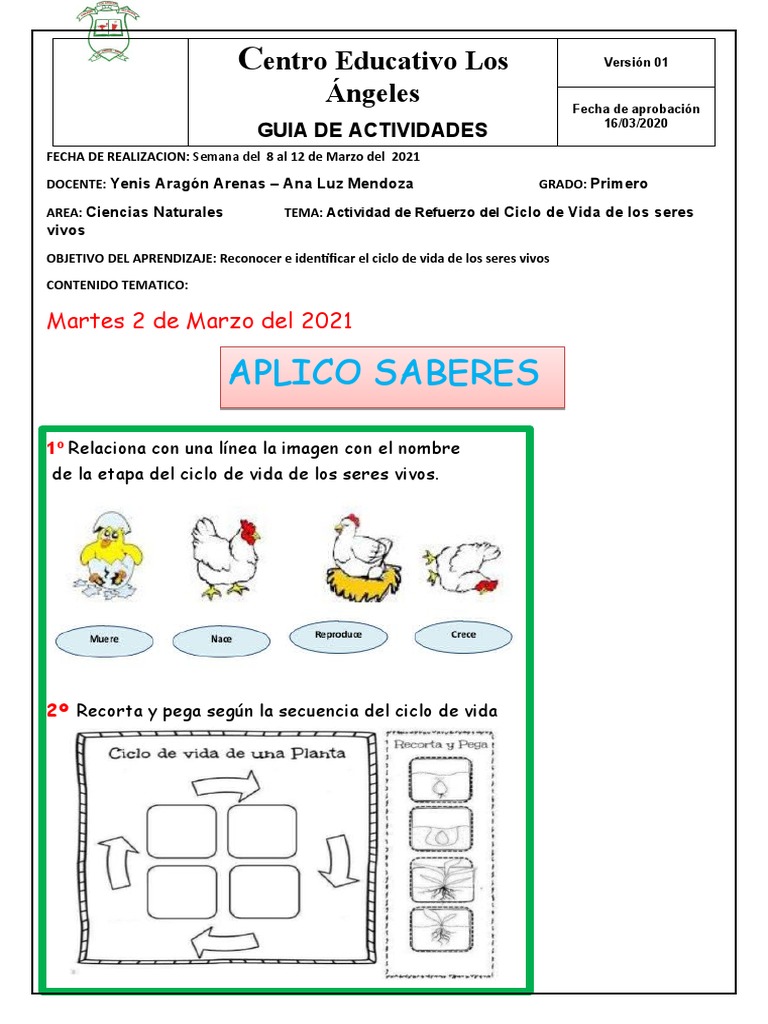 Actividades de Refuerzo: Ciclo de Vida | PDF