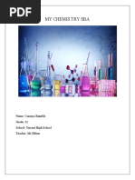 Integrated Science Rusting Nail Project | PDF | Rust | Iron