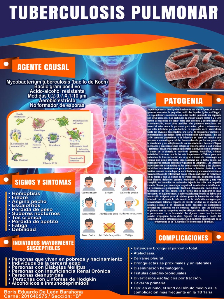 Afice Tuberculosis Pulmonar | PDF