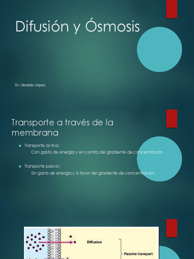 Difusión y Ósmosis en Biología | PDF | Ósmosis | Biología Celular