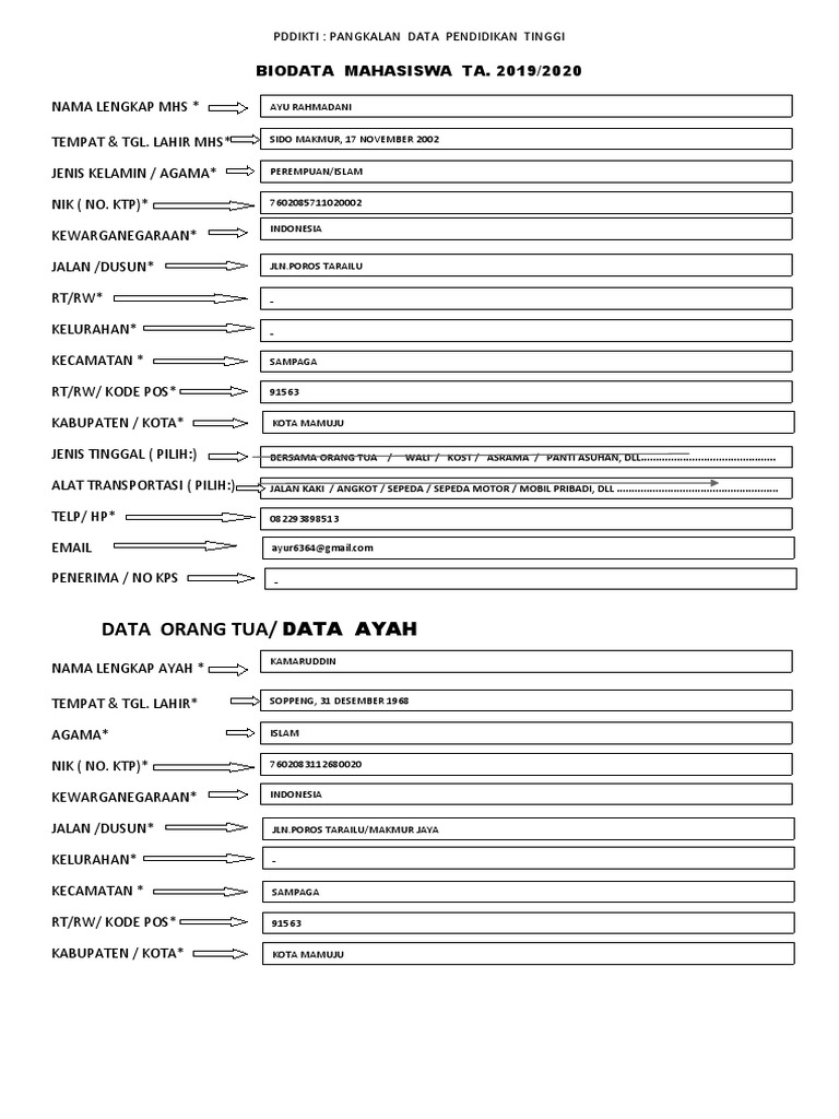 Biodata Pddikti 1 | PDF