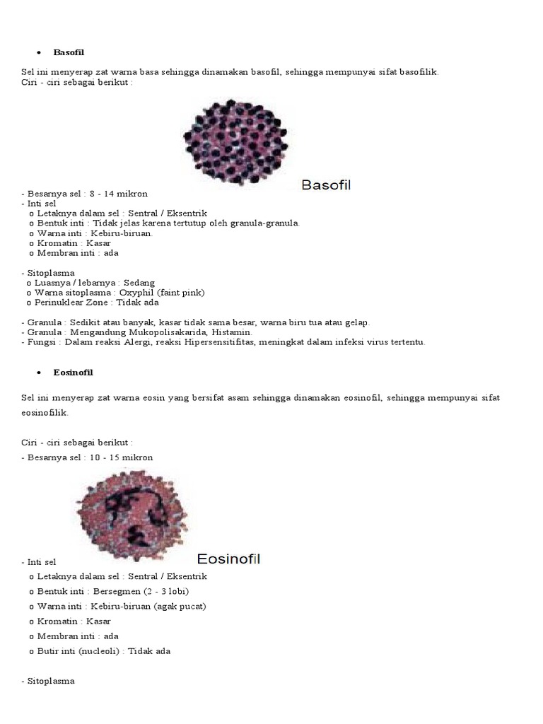 Basofil Penjelasan | PDF