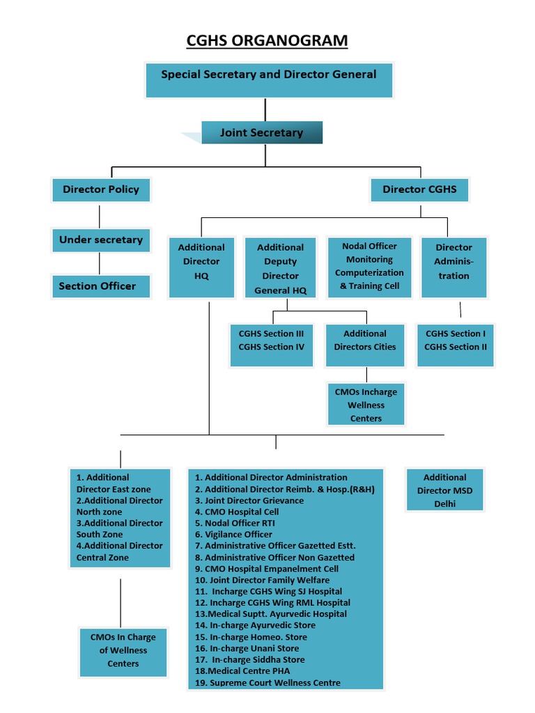 Cghs Organogram: Special Secretary and Director General | PDF | Business