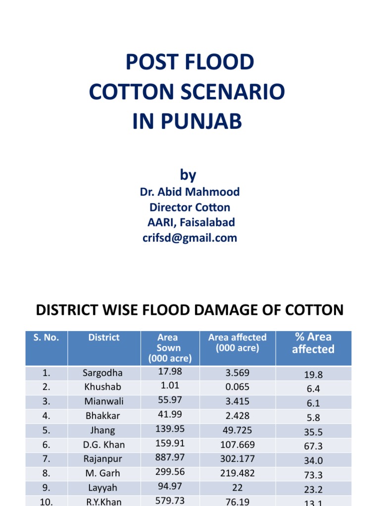 Punjab Cotton Post-Flood Impact | PDF | Horticulture And Gardening | Plants