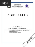 Module 4 Preparing Layout Design For Orchard | PDF | Rectangle | Orchard