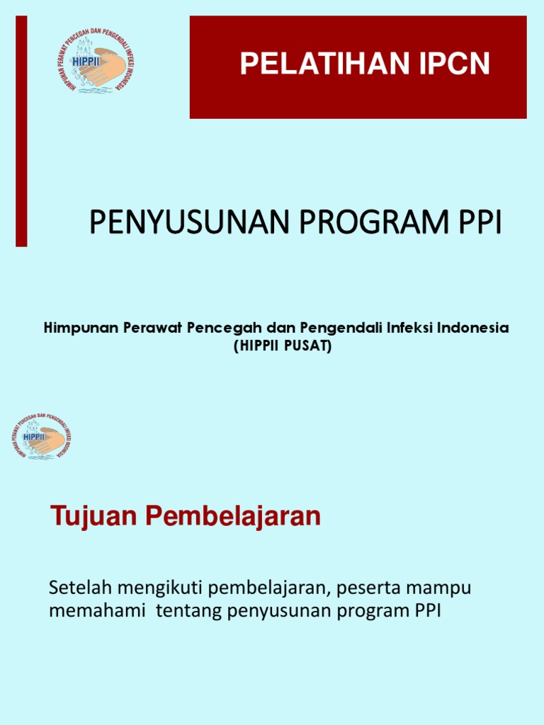 Penyusunan Program Ppi | PDF | Sains & Matematika