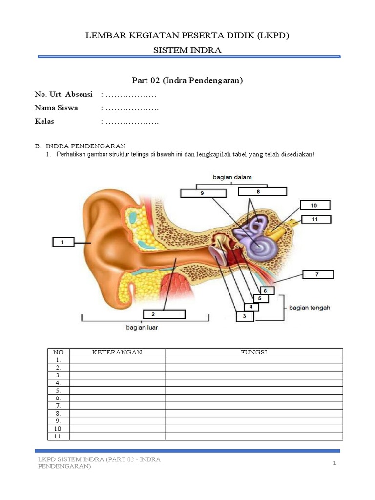 LKPD Indra Pendengaran | PDF
