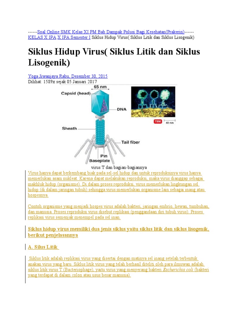 Siklus Hidup Virus | PDF