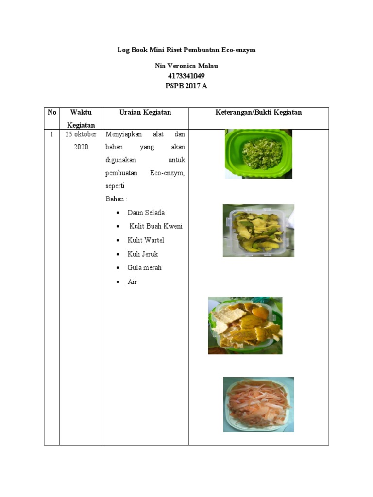 Log Book Mini Riset Pembuatan Eco | PDF