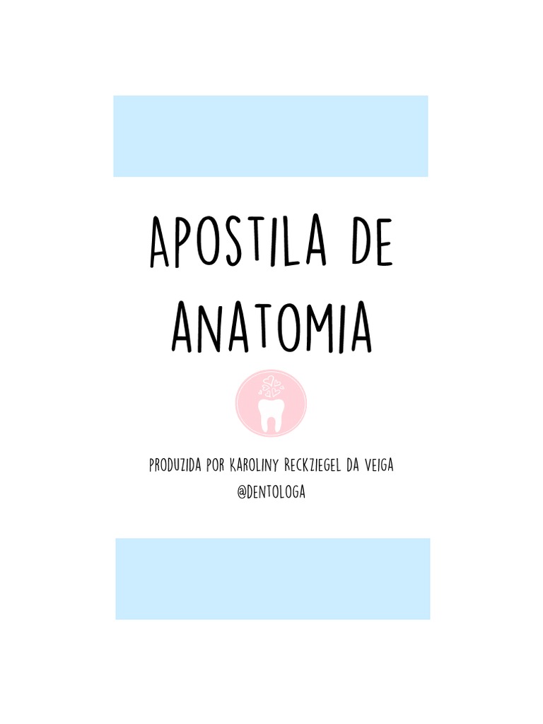 Anatomia do Sulco do Seio Sigmoide | PDF | Sistema Locomotor | Anatomia ...