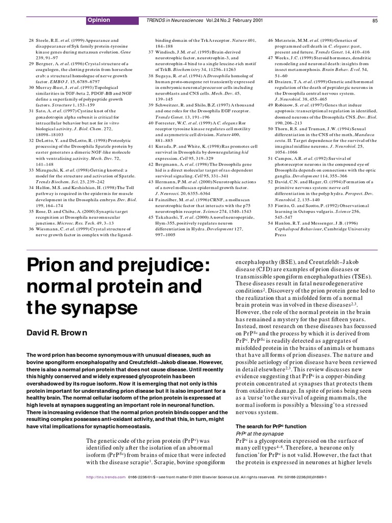 Prion Normal | Download Free PDF | Chemical Synapse | Superoxide Dismutase