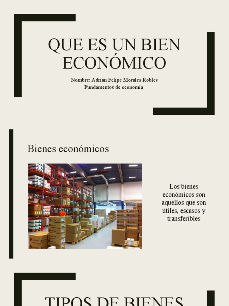 Que Es Un Bien Economico y Tipos de Bienes y Ejemplos de Cada Uno | PDF