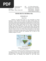 BIO1102 2023 Genap 03b LEMBAR KERJA Opera Gelembung Sabun | PDF