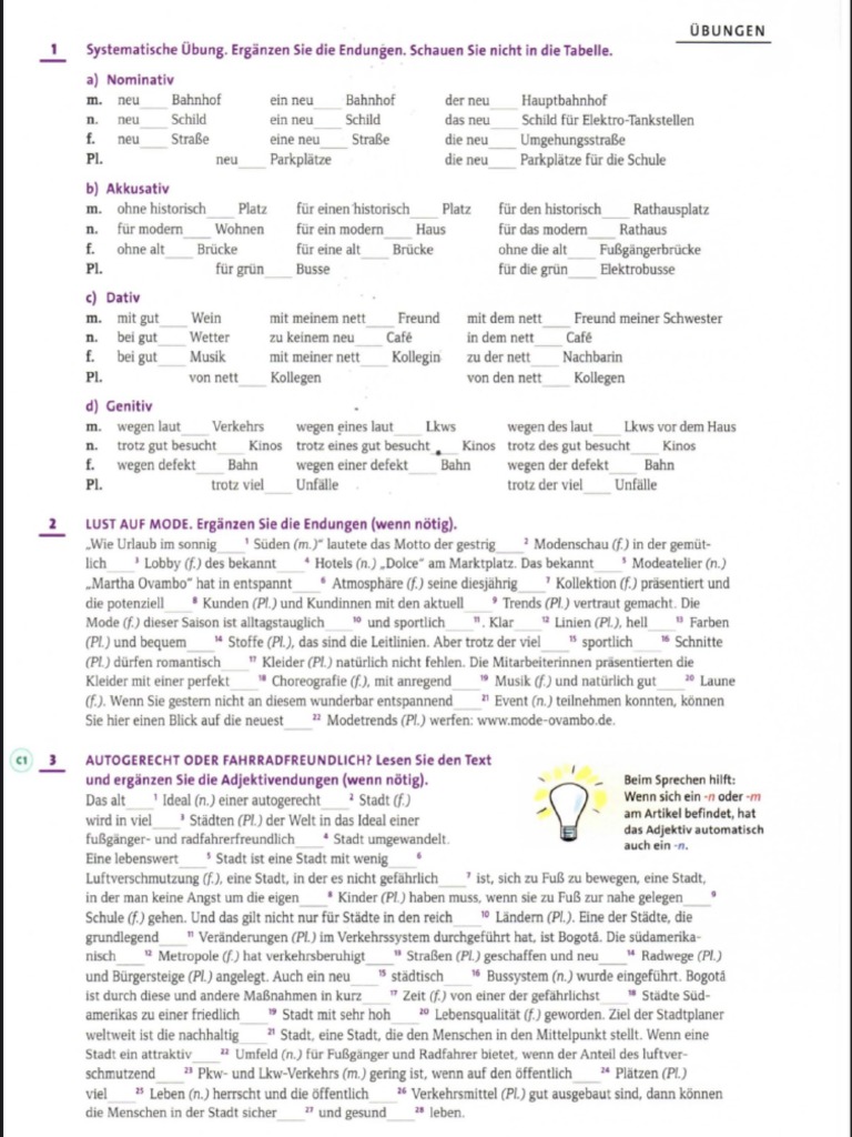 Übungen Adjektivdeklination | PDF