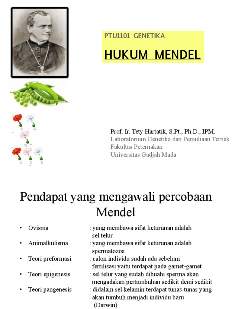 Minggu IV - Percobaan Mendel | PDF