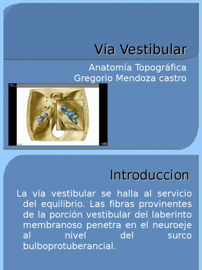 Vía Vestibular | PDF