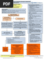 Bsped Dka Guidelines 2020 | PDF | Shock (Circulatory) | Intravenous Therapy