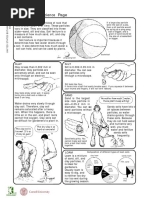 Soil Texture via Ribboning Technique | PDF | Landscape | Horticulture ...