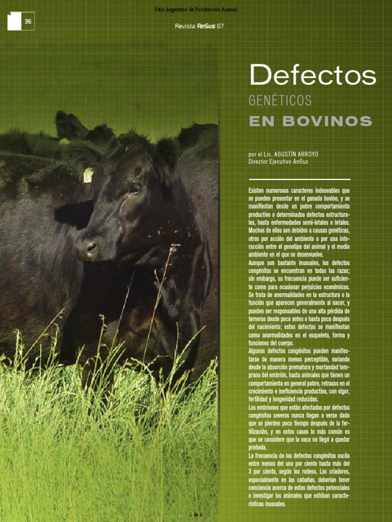 01-Defectos Geneticos en Bovinos | PDF | Clonación | Vacas