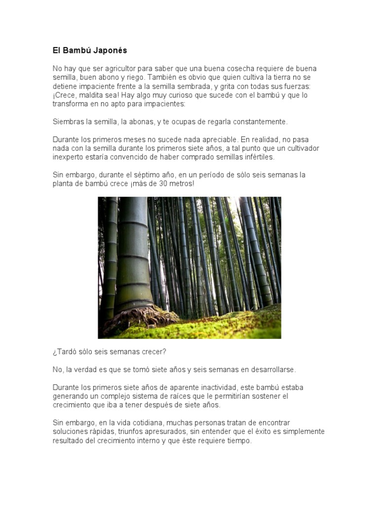El Bambú Japonés Cuento Reflexivo | PDF