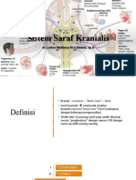 Anatomi Lengkap Esofagus | PDF