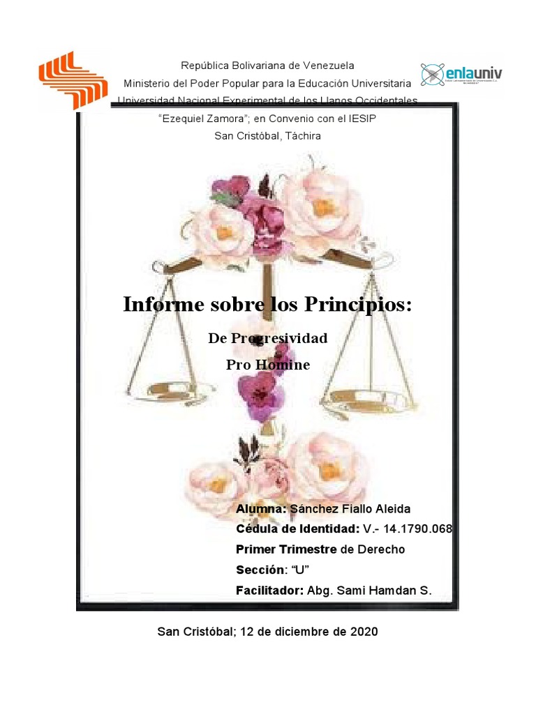 Principio de Progresividad | PDF | Derechos humanos | Constitución