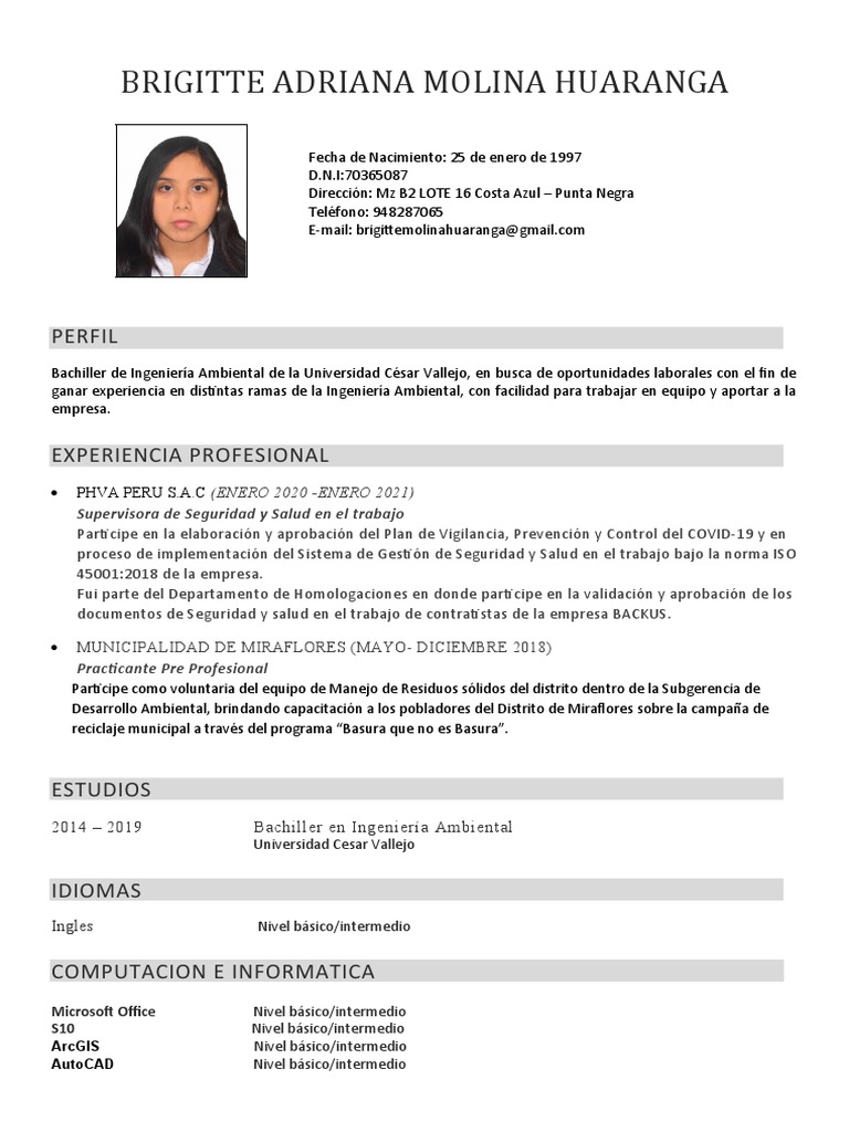 Plantilla Curriculum Clasico Word | PDF