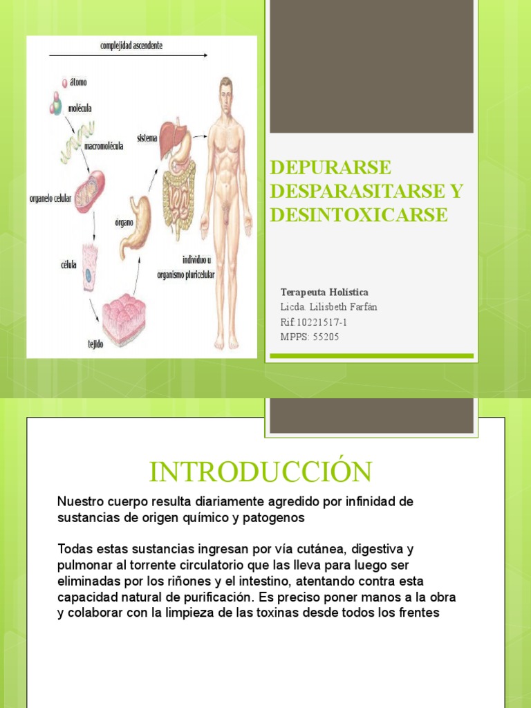 Depuracion y Desintoxicacion Del Organismo | PDF | Desintoxicación ...