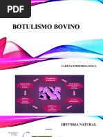 Bovitraz Ficha Tecnica Bayer | PDF | Agua | Naturaleza