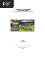 Classification Lalat BSF | PDF