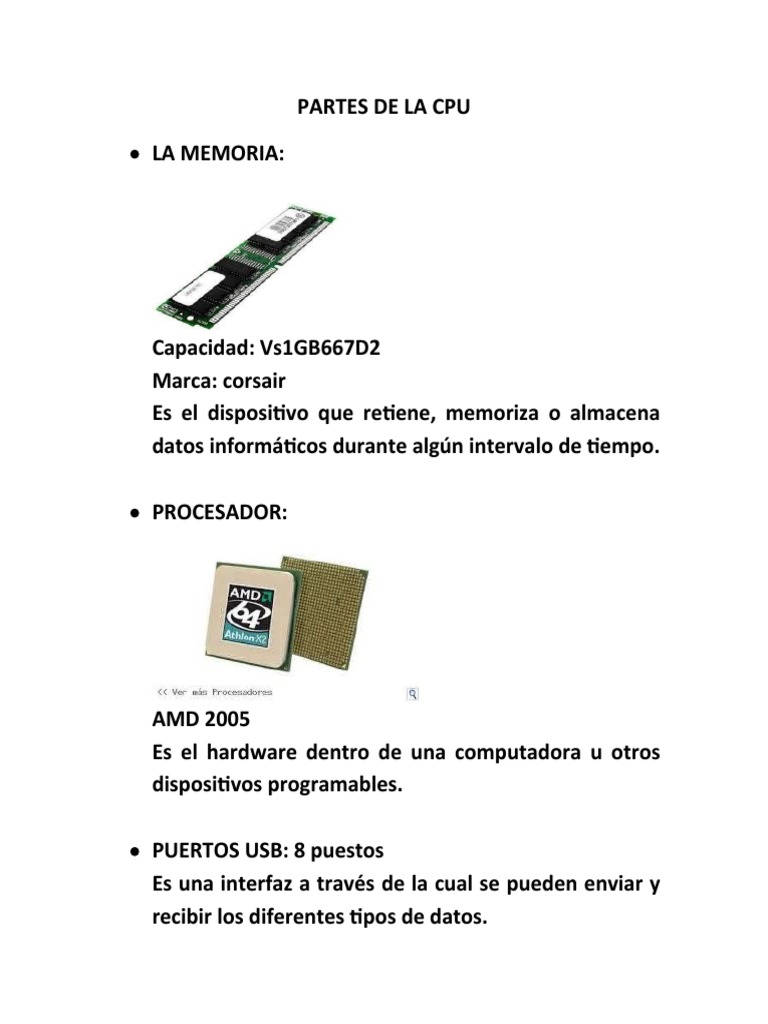 Los componentes clave de una CPU y sus funciones | PDF