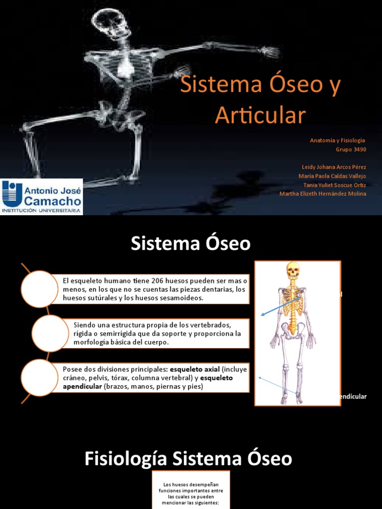 Sistema Esqueletico y Articular | PDF | Articulación | Mano