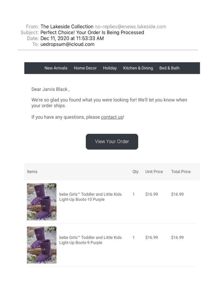 Perfect Choice! Your Order Is Being Processed | PDF