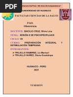 Efecto Poseiro en el Embarazo | PDF | Placenta | Feto