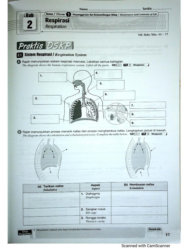 F3 Science Chapter 2 Practice Module 1-2 | PDF
