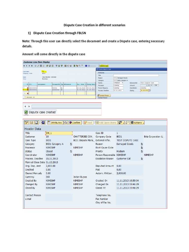 Dispute Case Creation Sap | PDF