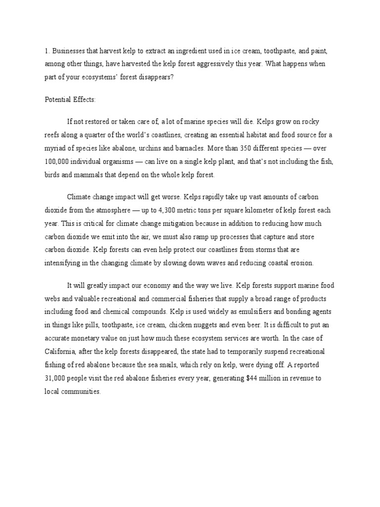 Ecosystem Food Web Activity | PDF | Sea | Coast