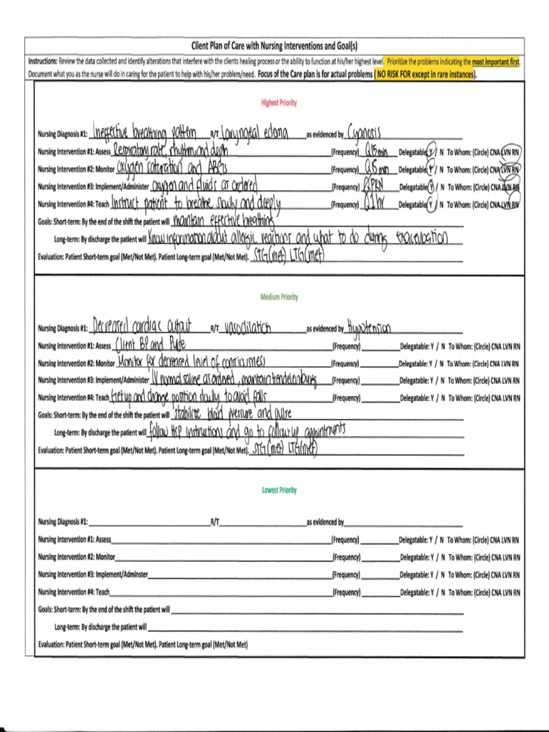 Nursing Interventions | PDF | Nursing | Patient