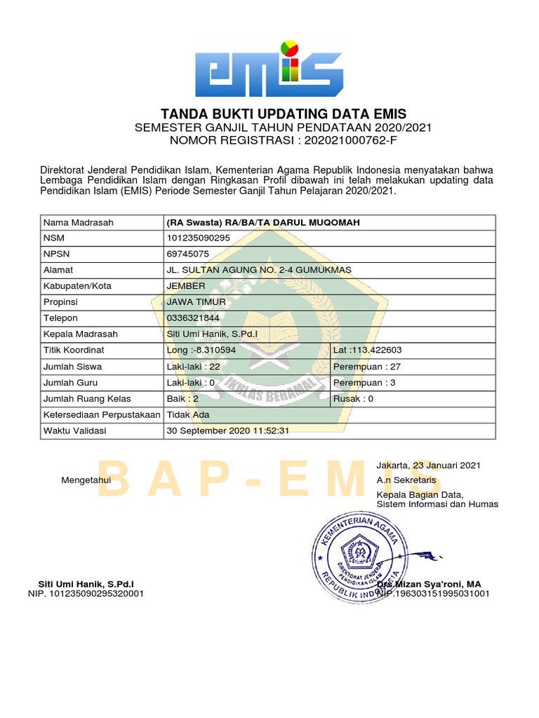 BAP EMIS Print | PDF