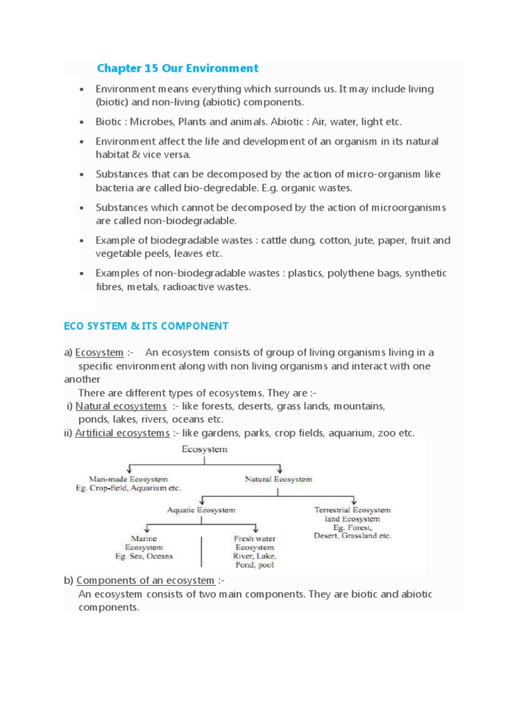 Understanding Ecosystems and Waste Management | PDF | Food Web | Ozone ...