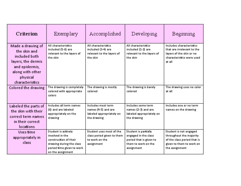 Health Lesson 1 Rubric Layers of The Skin | PDF