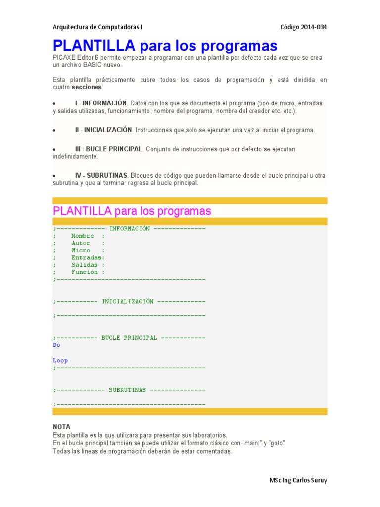PLANTILLA para Los Programas | PDF | Informática