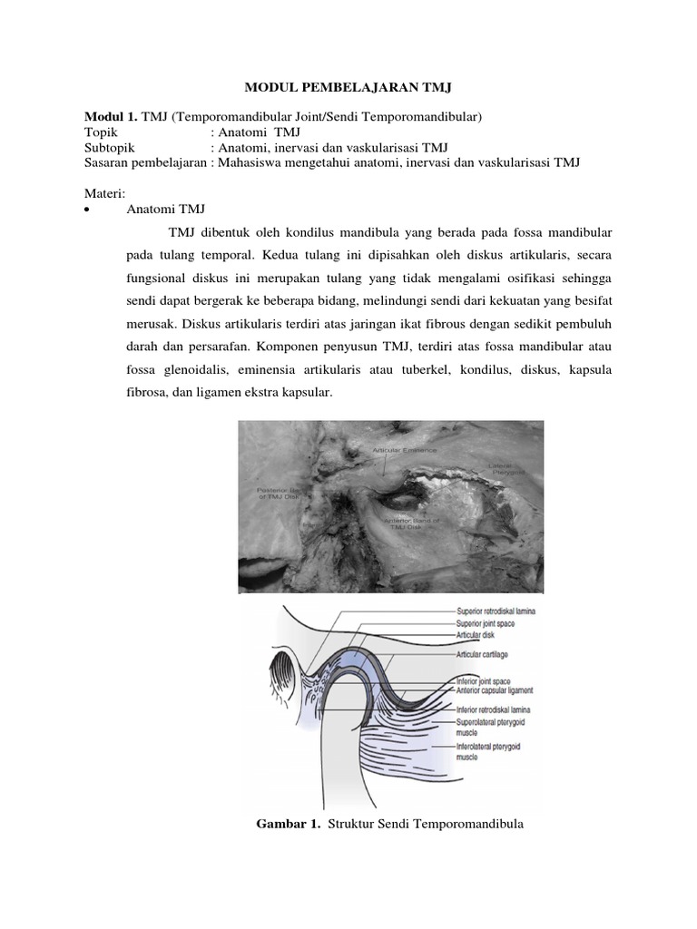 Modul Pembelajaran TMJ Modul 1. TMJ (Temporomandibular Joint/Sendi ...