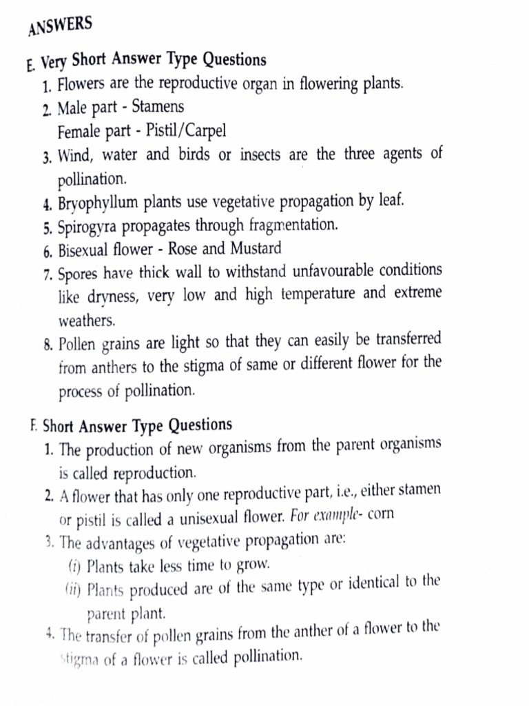 Class7 Answers CH 12 | PDF | Flowers | Seed