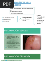Facies Algicas | PDF | Anatomía humana | Especialidades Medicas
