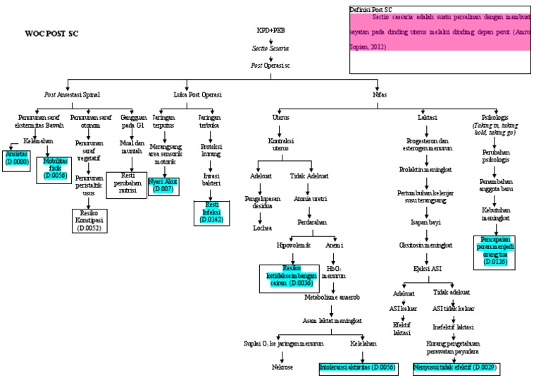 WOC Post Op SC | PDF