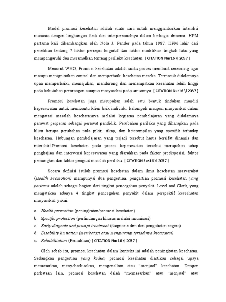 Teori Model Promosi Kesehatan HPM | PDF | Karier & Perkembangan ...