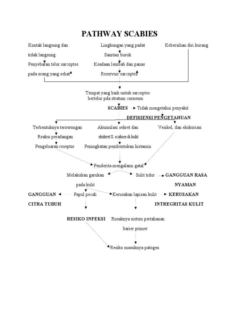 Pathway Scabies | PDF