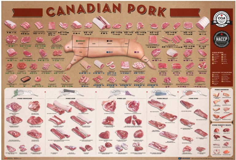 Pork Retail Cuts Chart Pdf